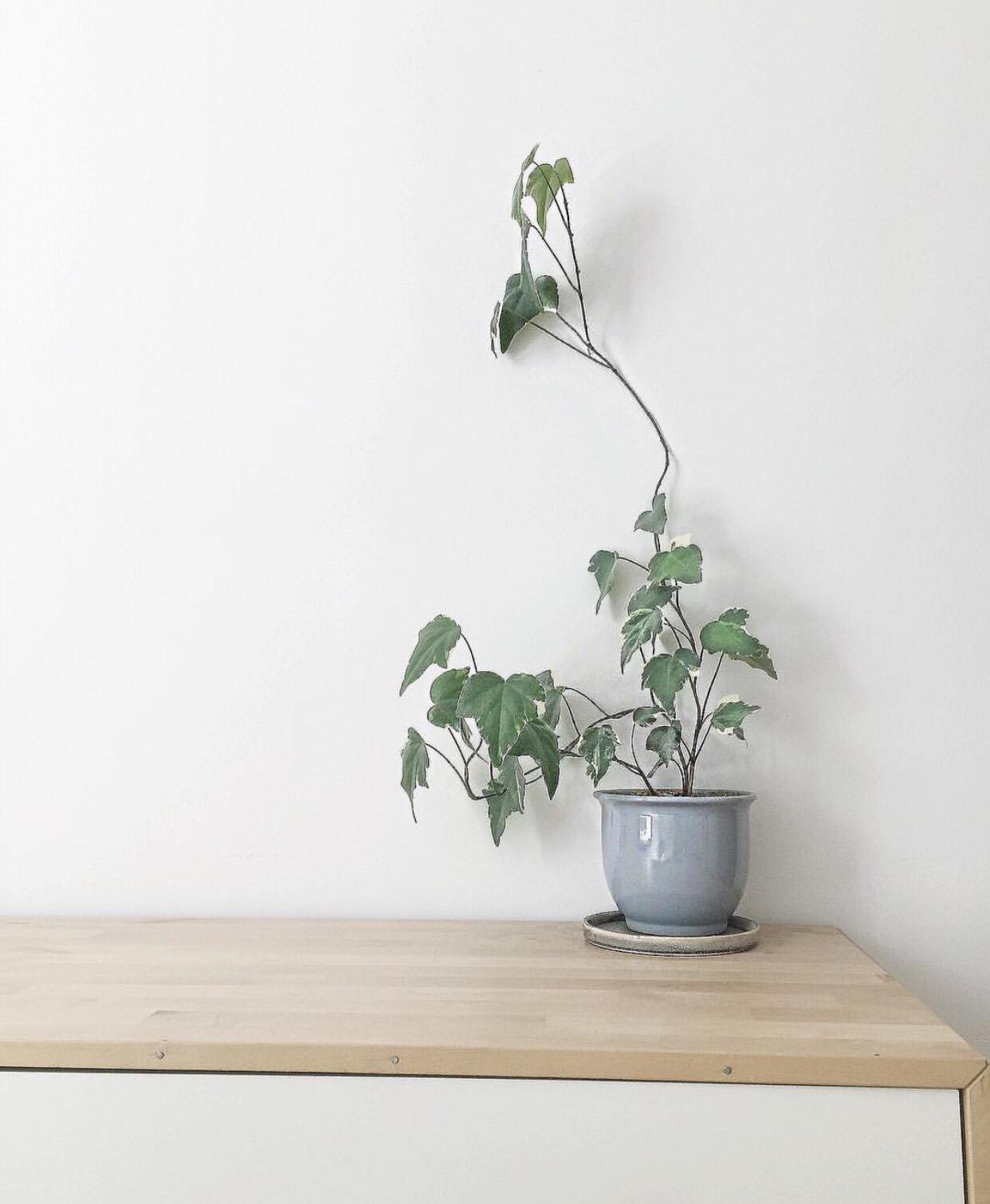 5 trucs minimalistes pour simplifier sa vie au quotidien - Vivre Avec Moins